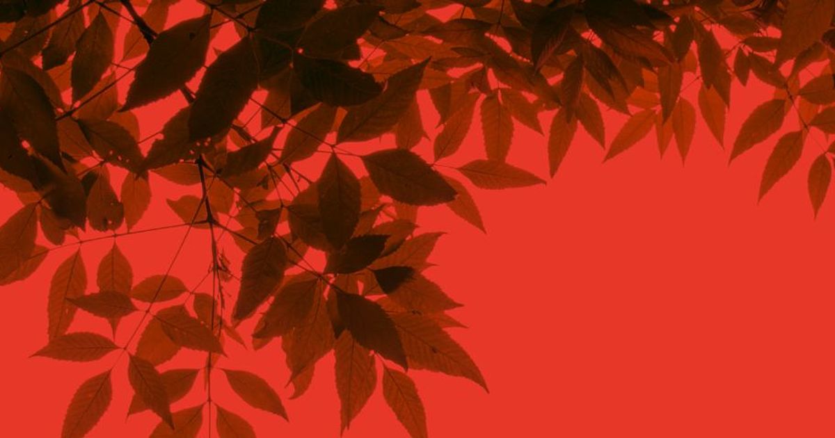 Künstler*innengespräch – Eric Marlin & ruth tang - Kulturkalender ...